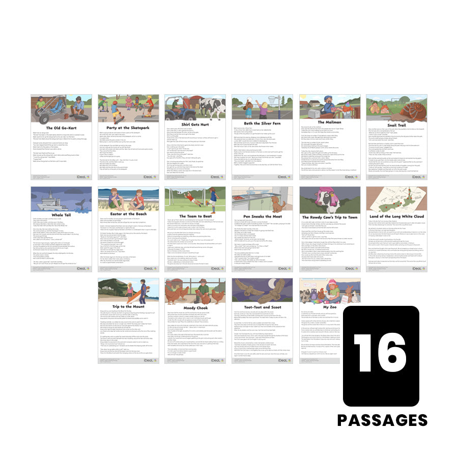 iDeaL Stage 1 Decodable Passages Set 4 – Learning MATTERS